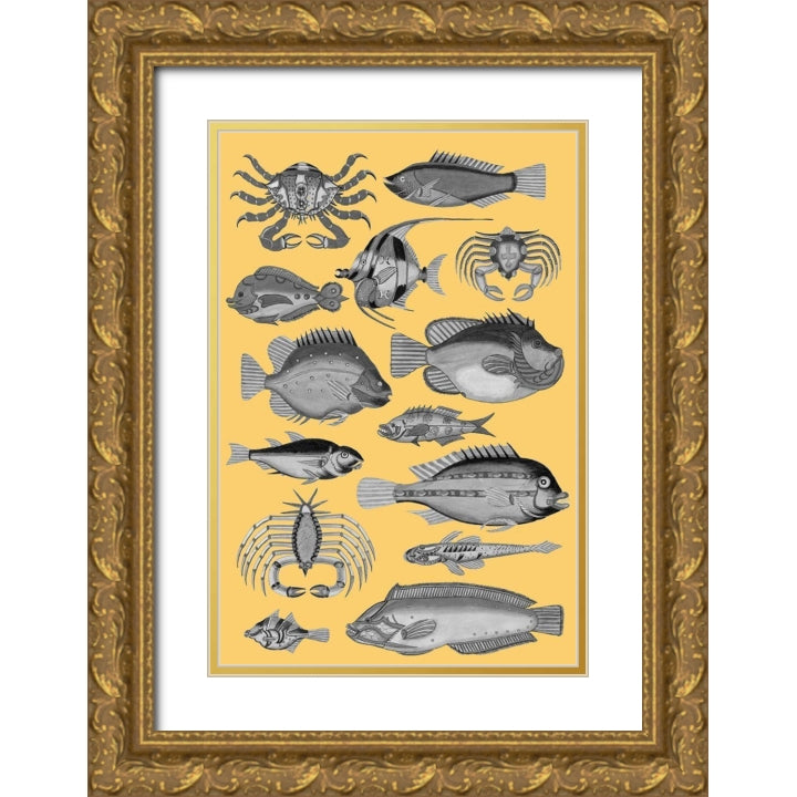 Tropical Fish Collage 3-Yellow Background by Renard, Louis – frametowall