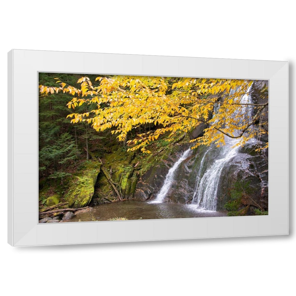 USA-Vermont-Fall foliage in Mad River Valley along trail to Warren ...