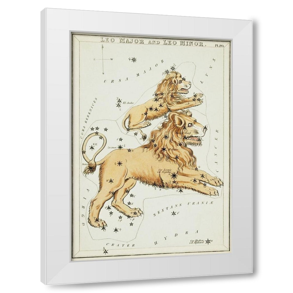 Astronomical chart illustration of the Leo Major and the Leo Minor by ...